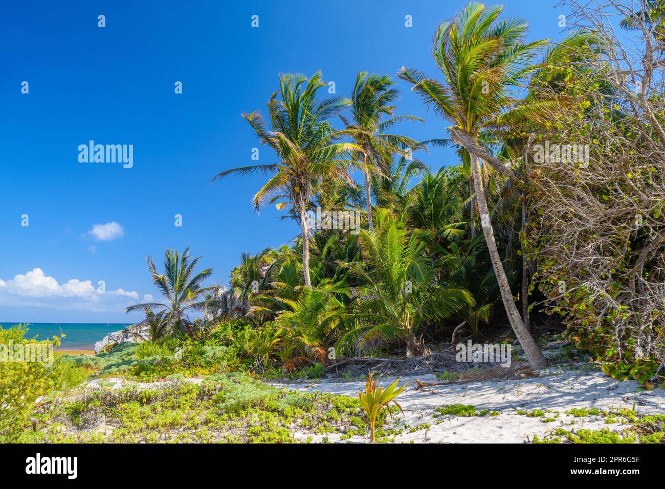 White sand beach with palms, temple of the descending god, Mayan Ruins ...
