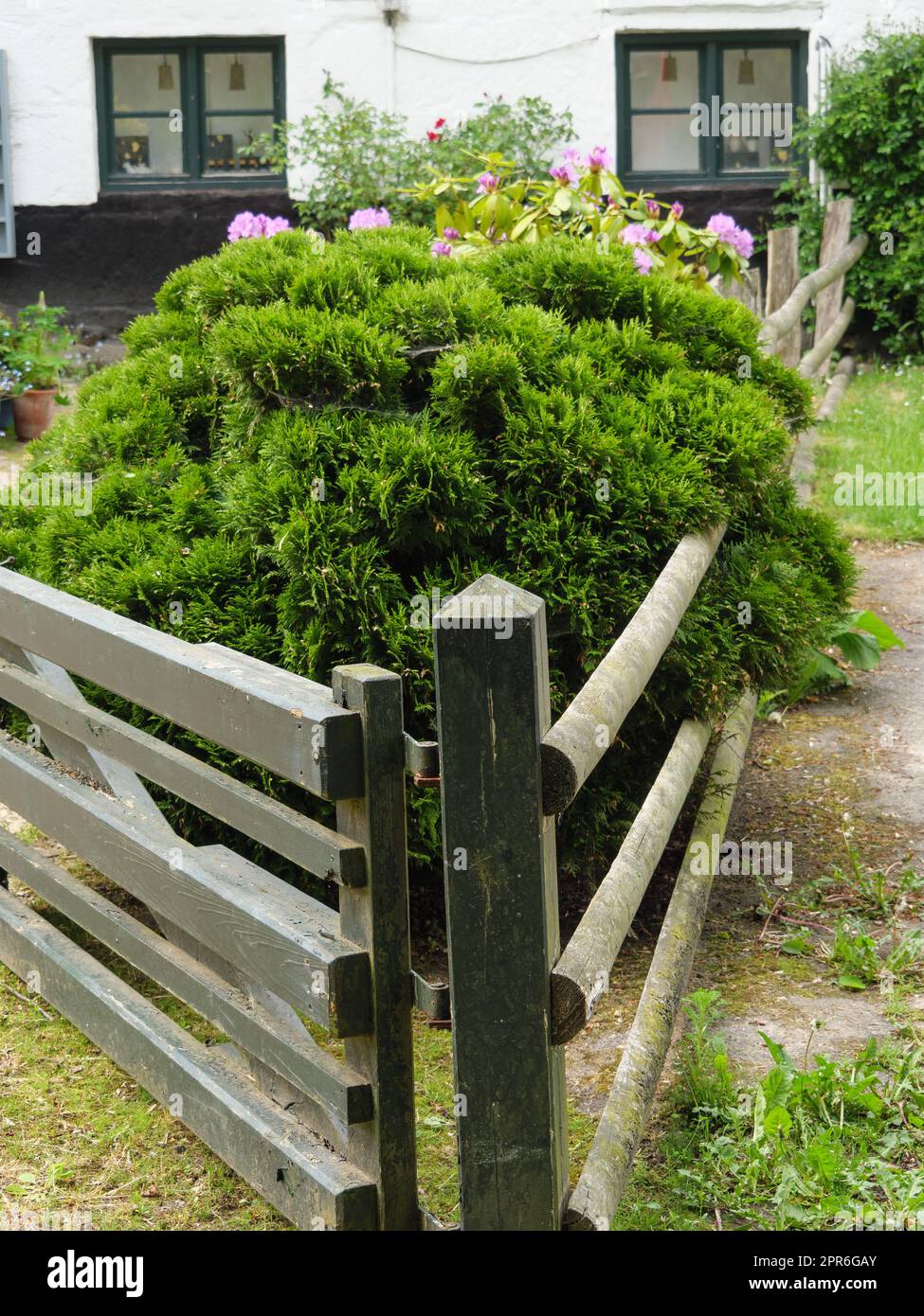the small city of Arnis at the schlei river Stock Photo - Alamy