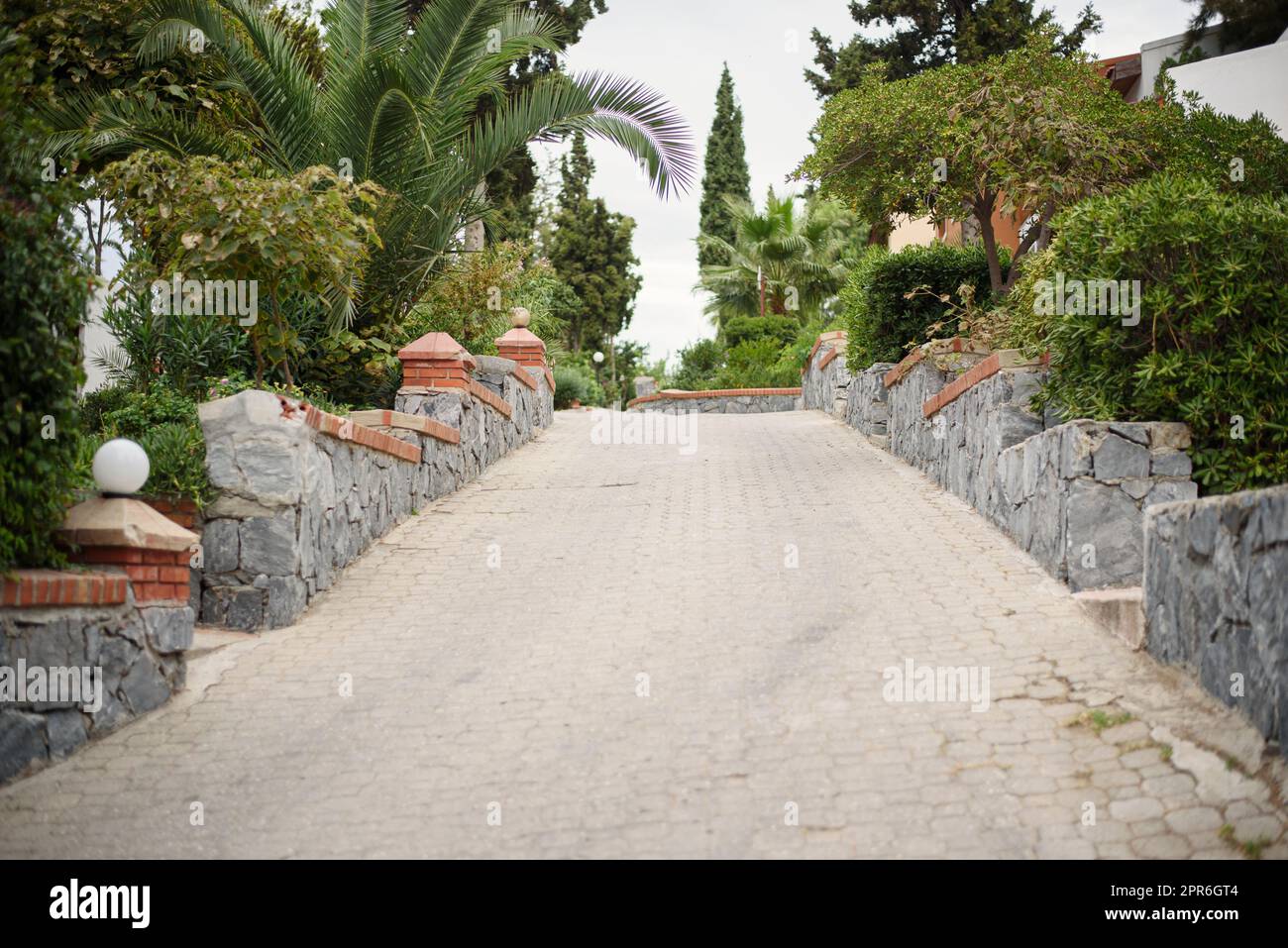 Paved pathway with palm trees and green bushes on both sides leading to ...