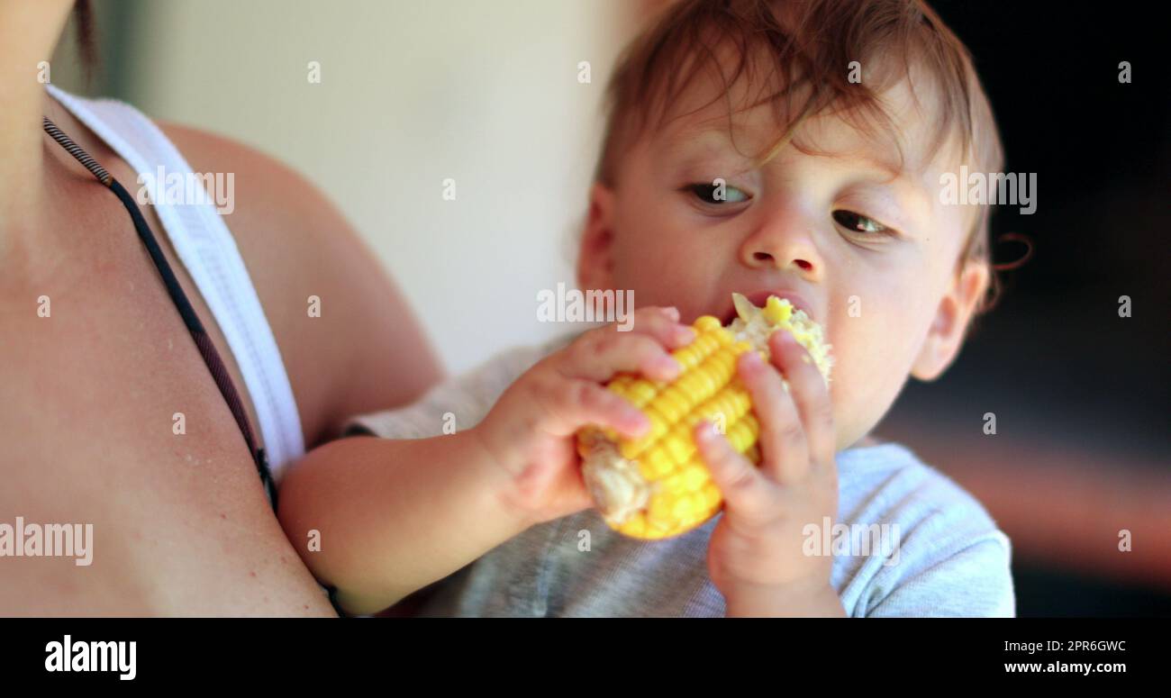 One year old baby eating corn cob Stock Photo - Alamy