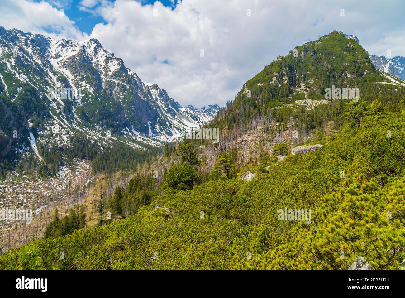 High Tatra Mountain Range Stock Photo - Alamy