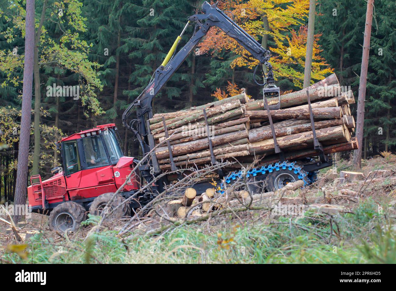 A forestry worker retrieves felled tree trunks from the forest with a ...