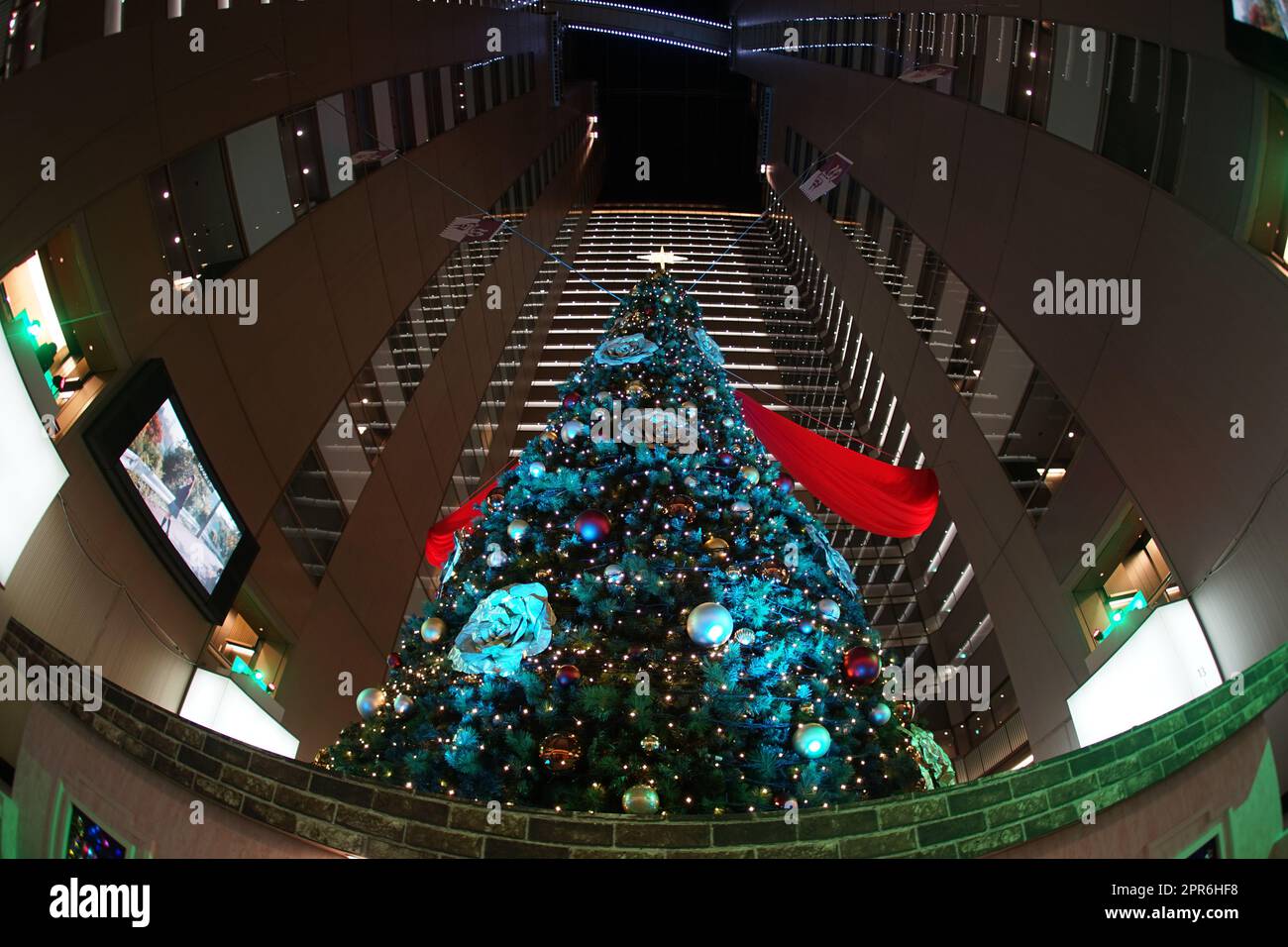 Christmas tree and high-rise building image Stock Photo - Alamy