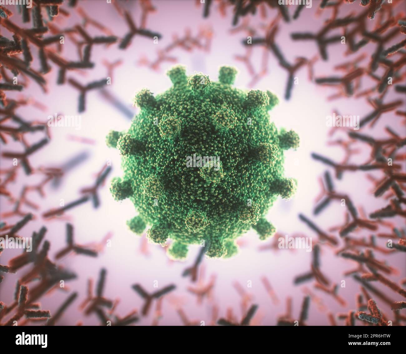 Antibody antibodies antivirus vaccination hi-res stock photography and ...