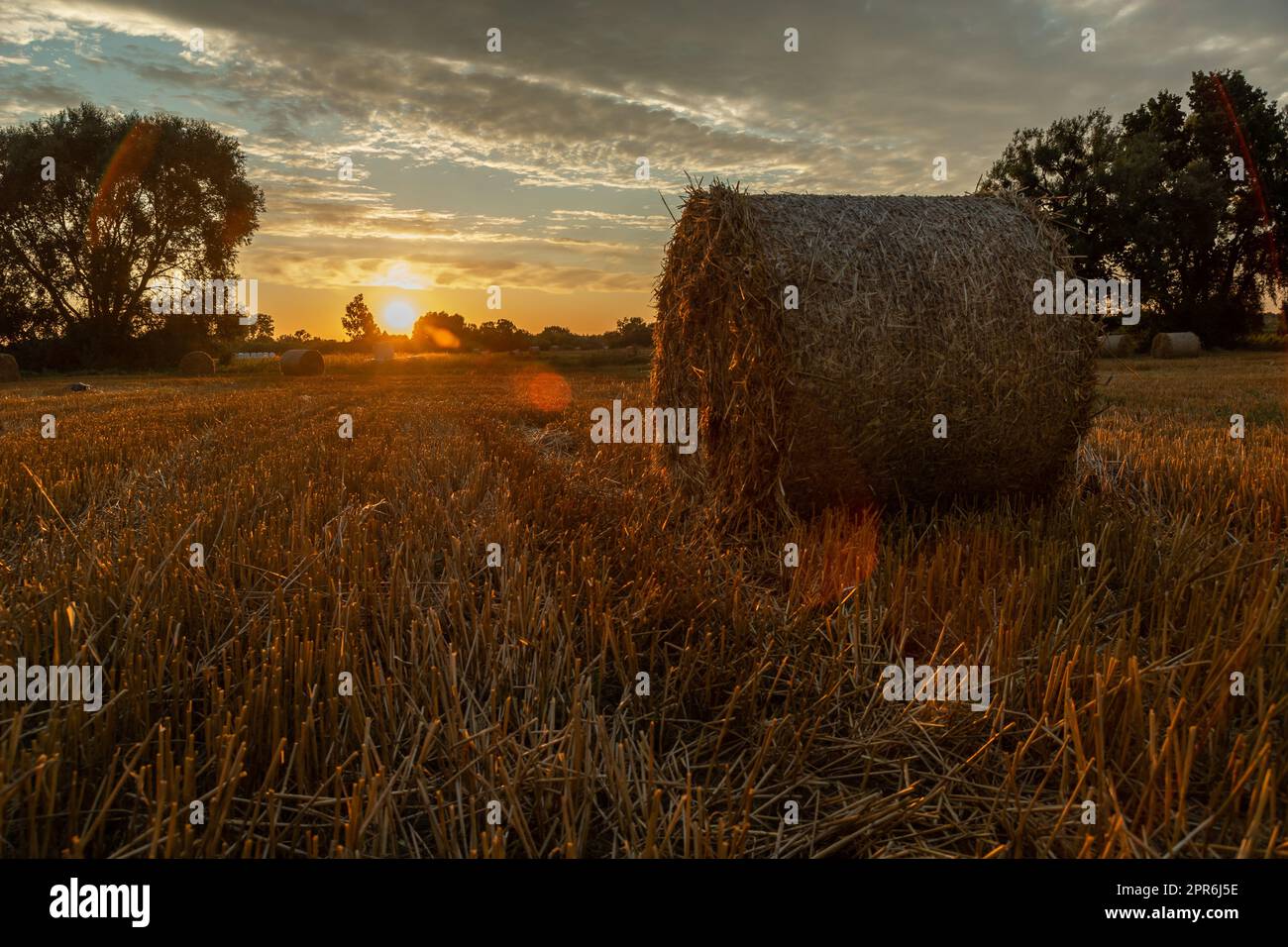 Hay bale in the field and sunset Stock Photo - Alamy