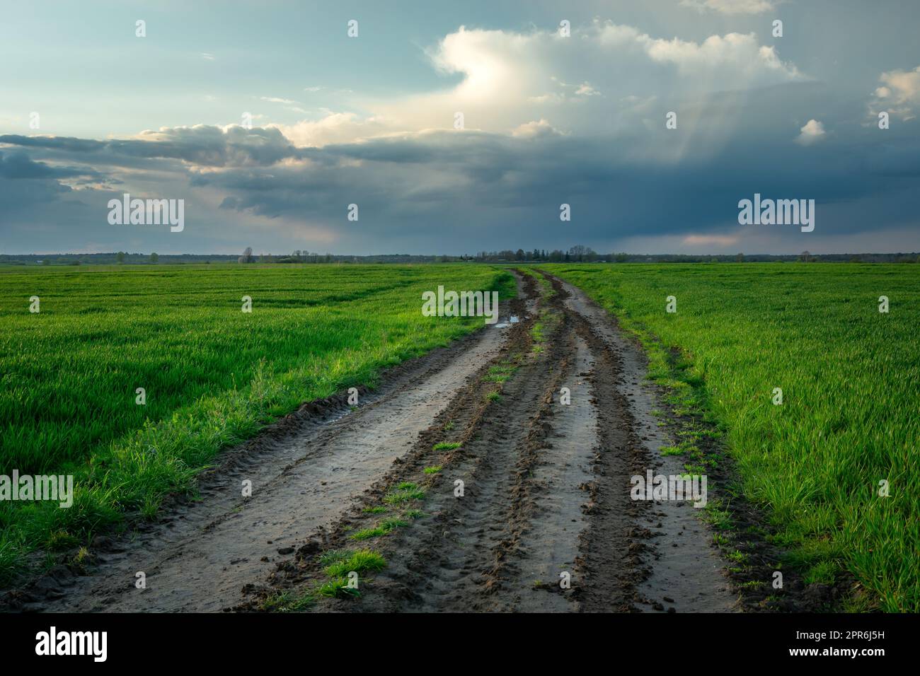 Green muddy hi-res stock photography and images - Alamy