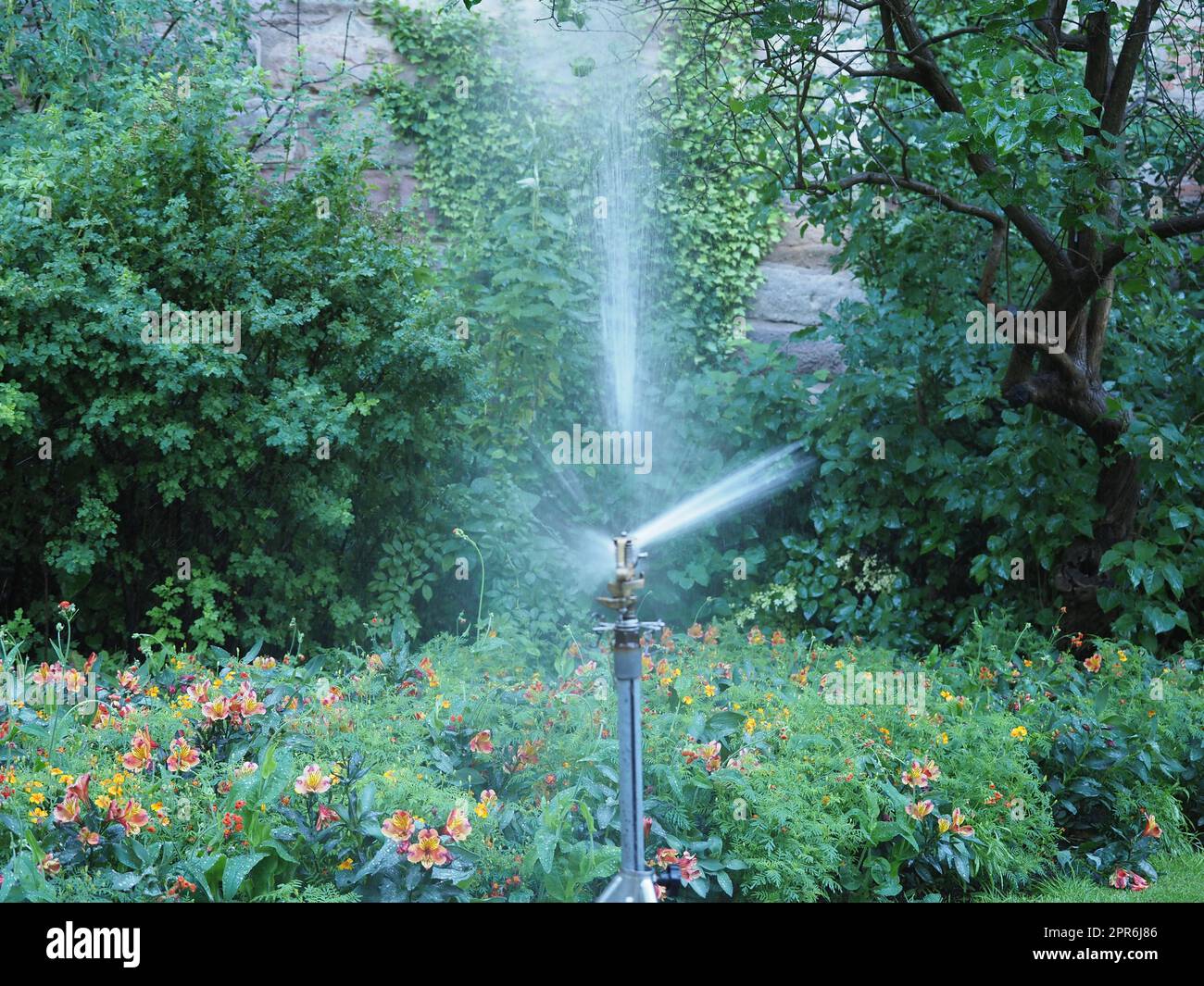 rotating nozzle irrigation sprinkler aka a water sprinkler Stock Photo ...