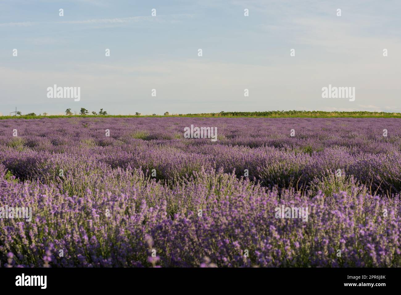 Lavender sky clouds hi-res stock photography and images - Alamy