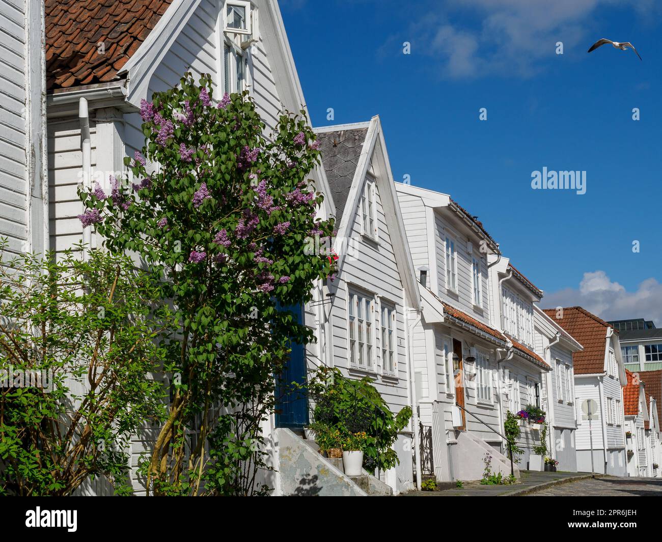 Stavanger city in Norway Stock Photo - Alamy