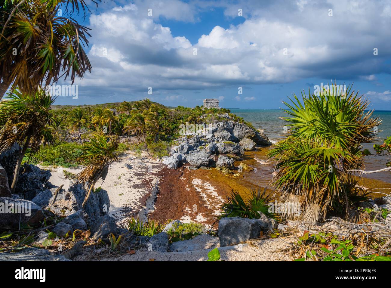 White sand beach with rocks and seaweeds, Mayan Ruins in Tulum, Riviera ...