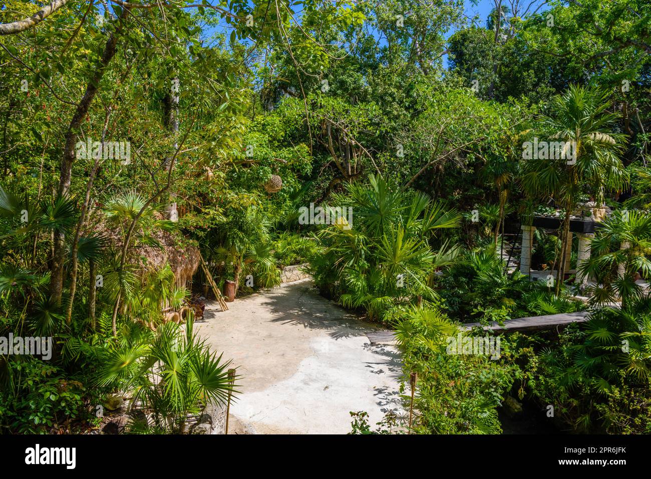 Mayan jungle hi-res stock photography and images - Alamy