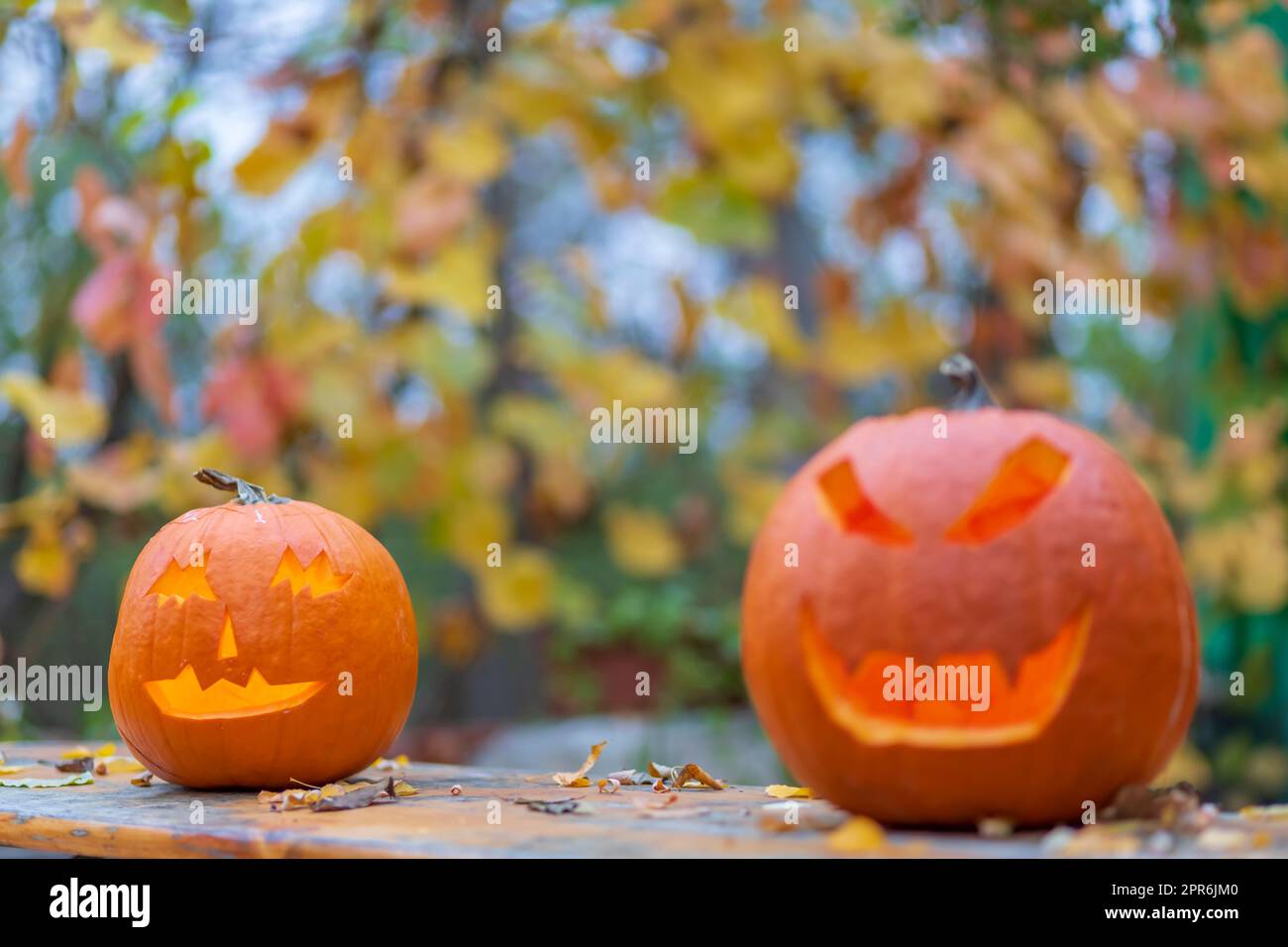 Halloween pumpkin still life hi-res stock photography and images - Alamy