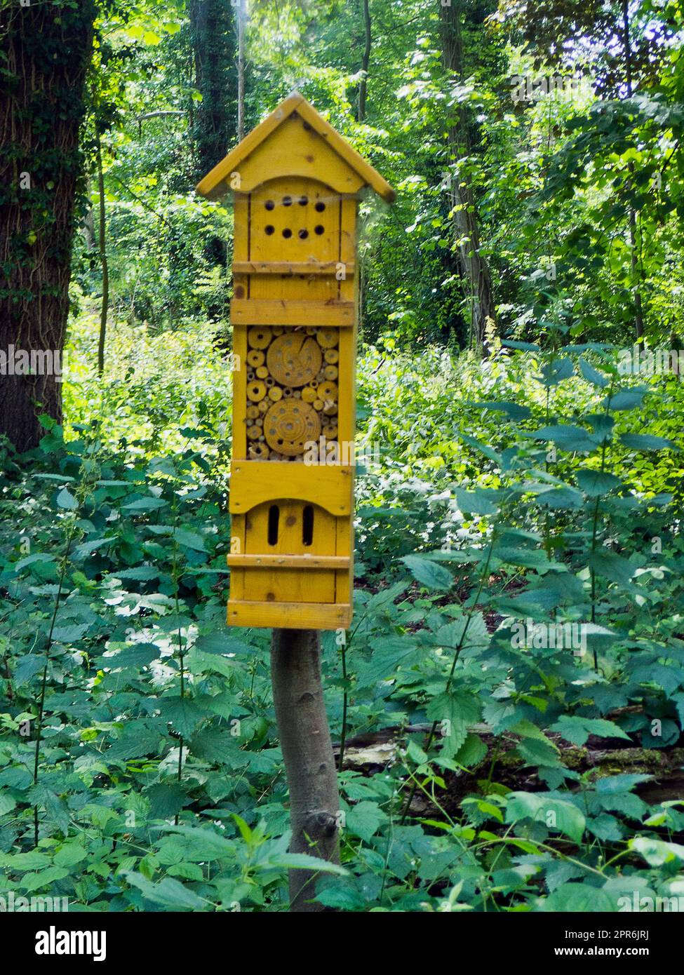Germany, Hamm - Insect hotel at Heessen Castle Stock Photo - Alamy