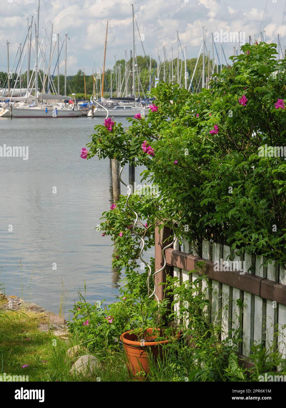 the small city of Arnis at the schlei river Stock Photo - Alamy