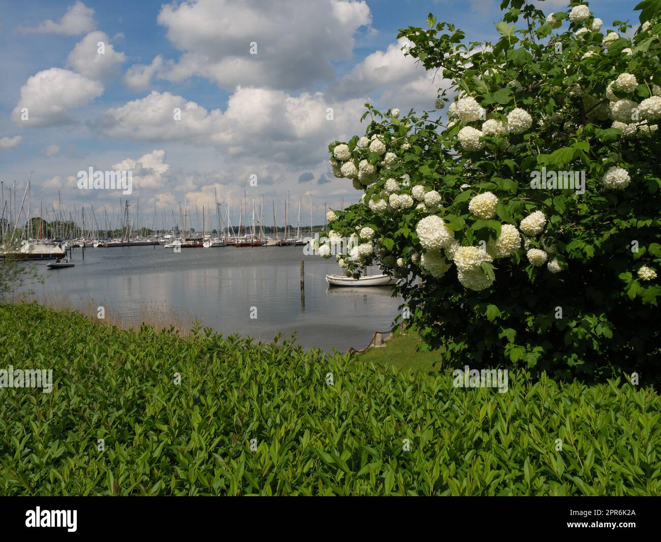 the small city of Arnis at the schlei river Stock Photo - Alamy