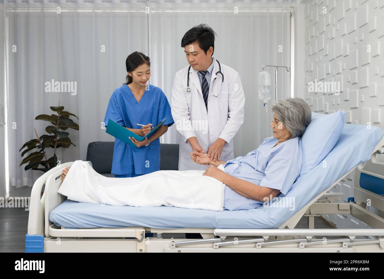 Senior female patient and doctor. Asian doctor with stethoscope check the pules of the elderly ...