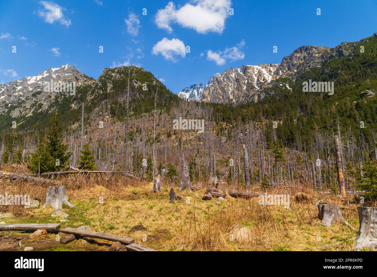 High Tatra Mountain Range Stock Photo - Alamy