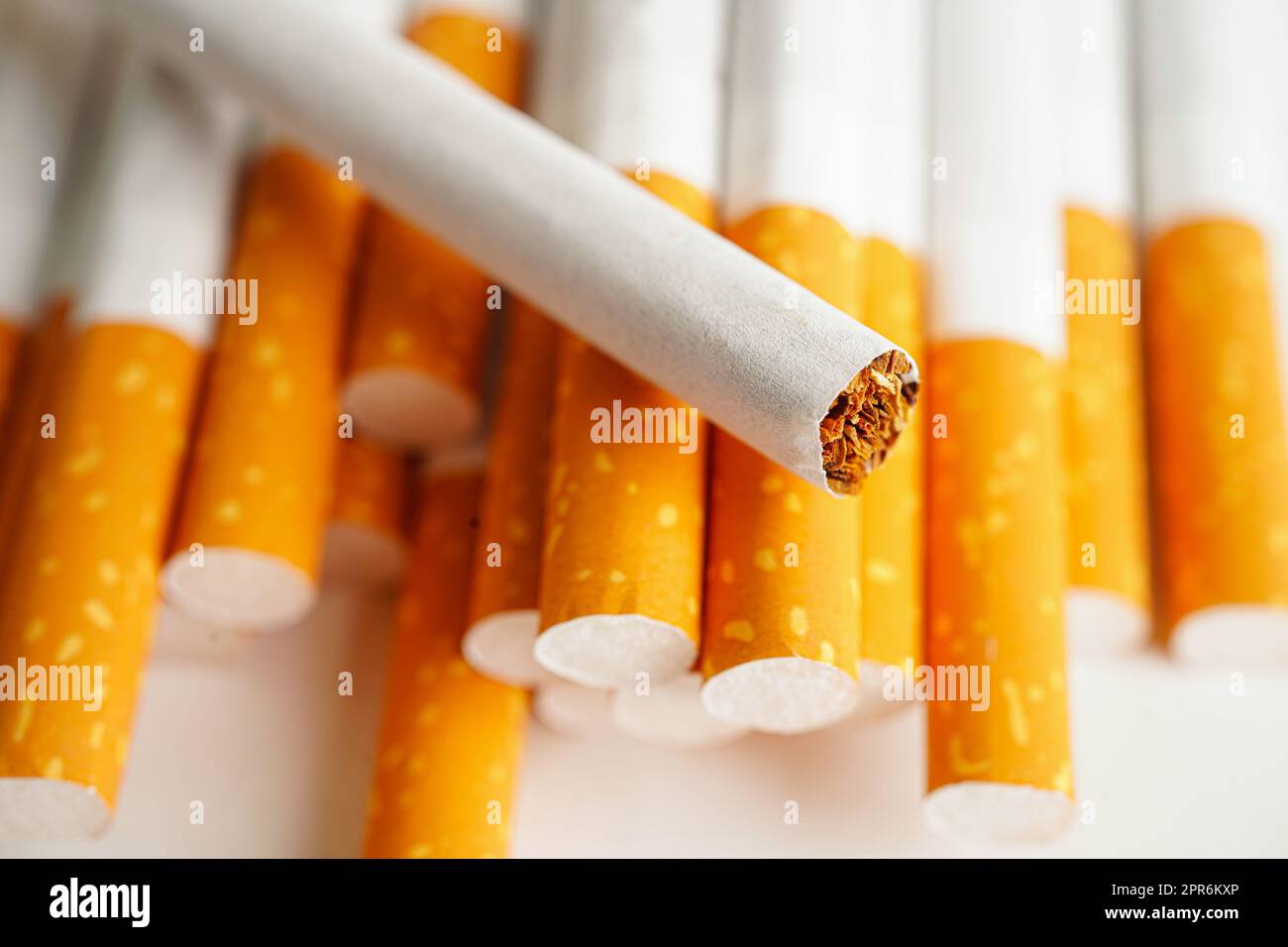 Cigarette, roll tobacco in paper with filter tube, No smoking concept ...