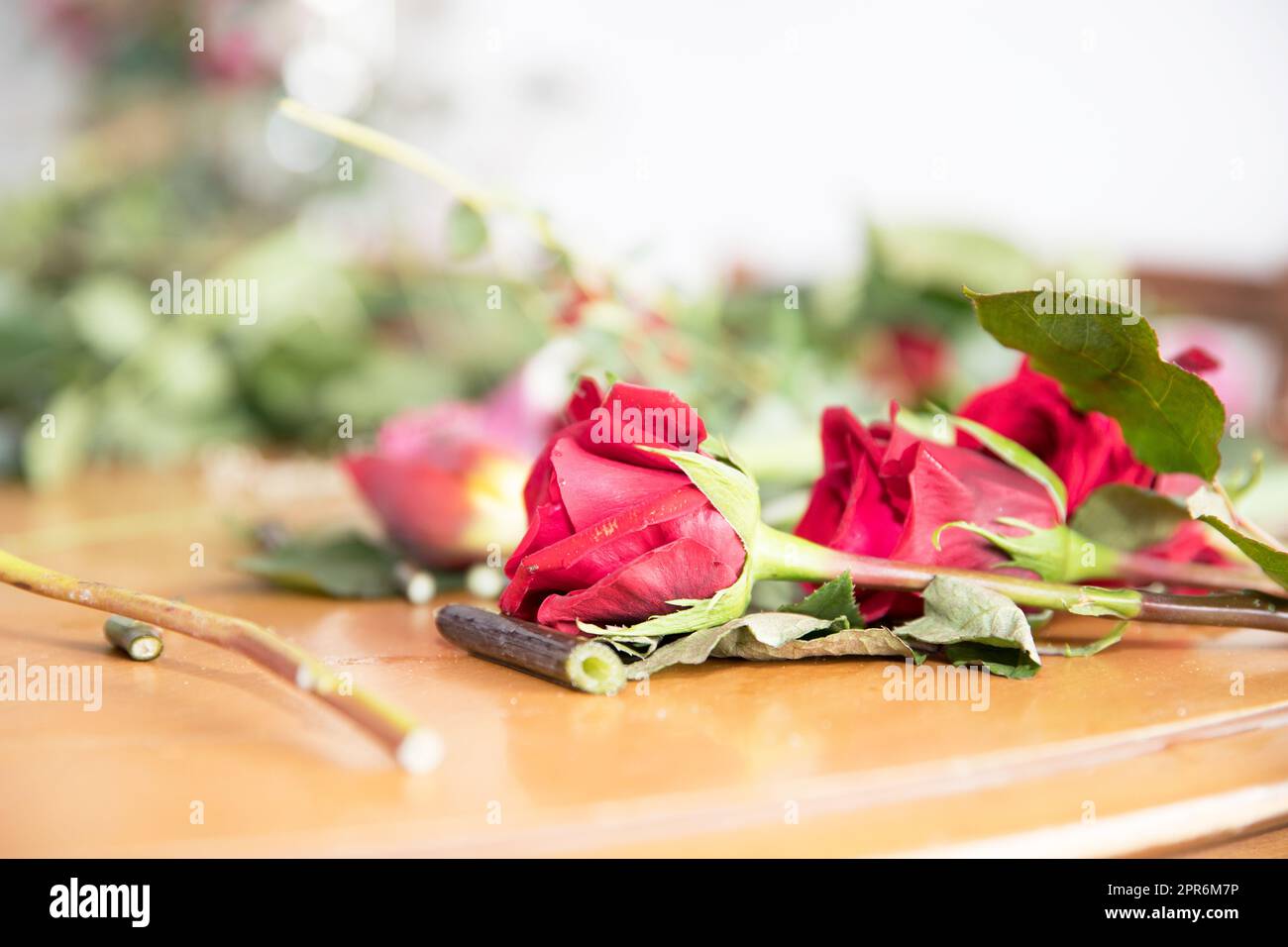Red roses wallpaper hi-res stock photography and images - Alamy