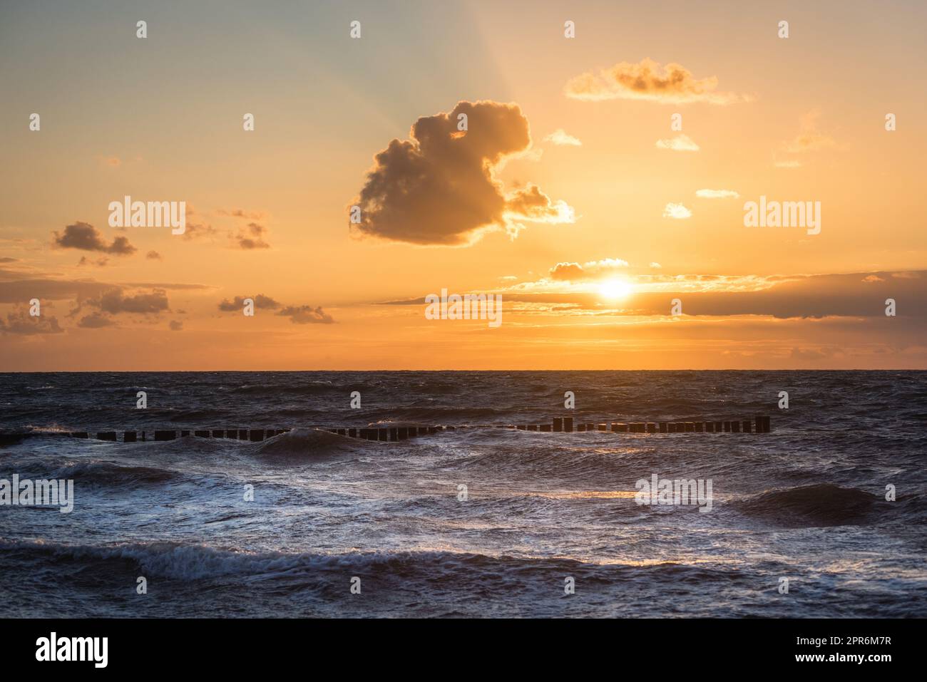 Gold of the baltic sea hi-res stock photography and images - Alamy