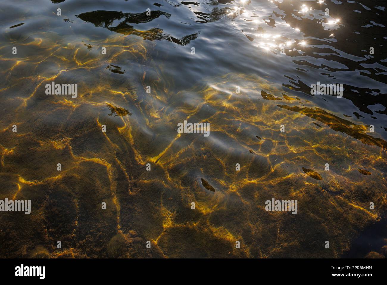Transparent pure golden water in river Stock Photo - Alamy