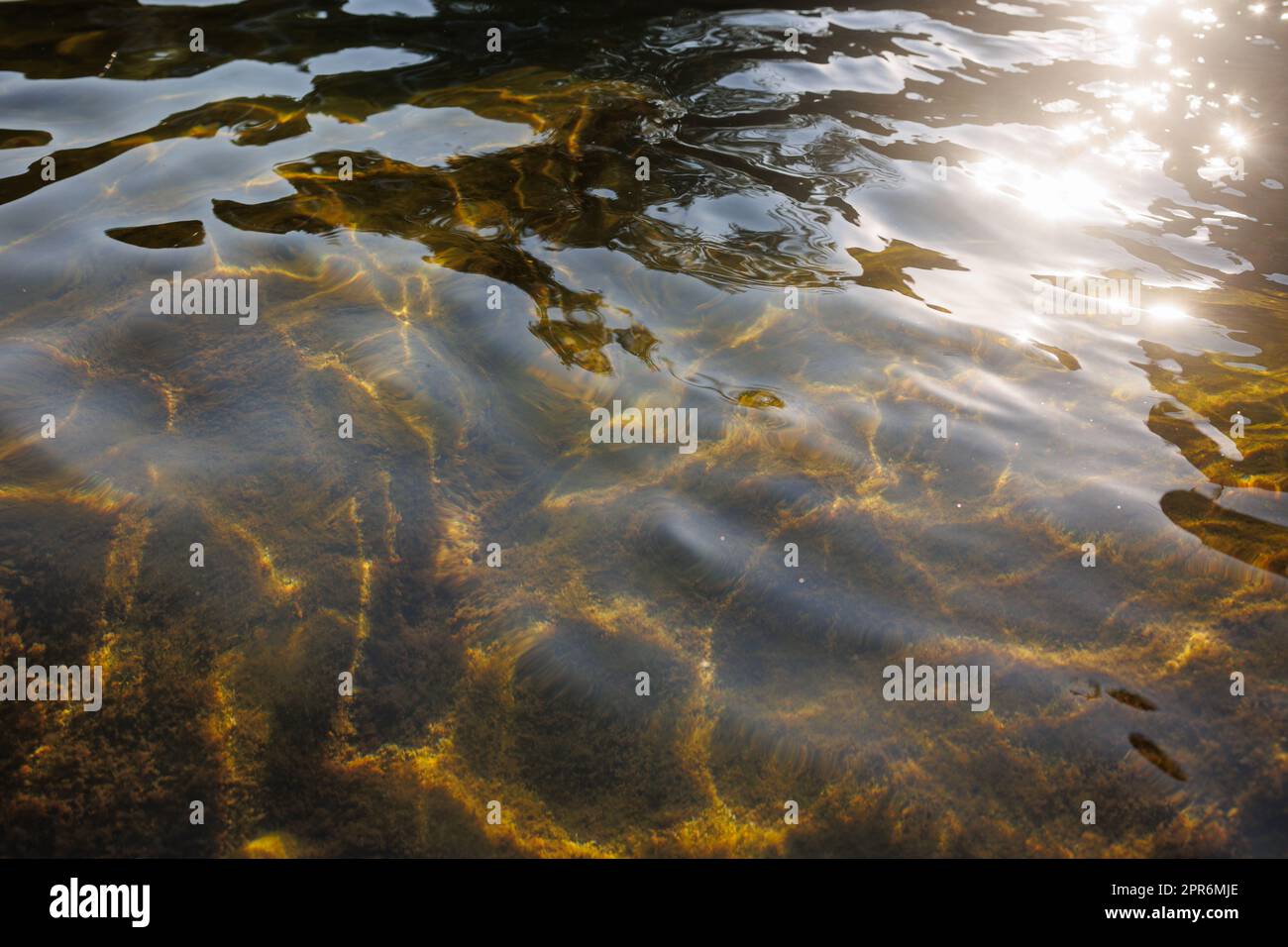 Transparent pure golden water in river Stock Photo - Alamy