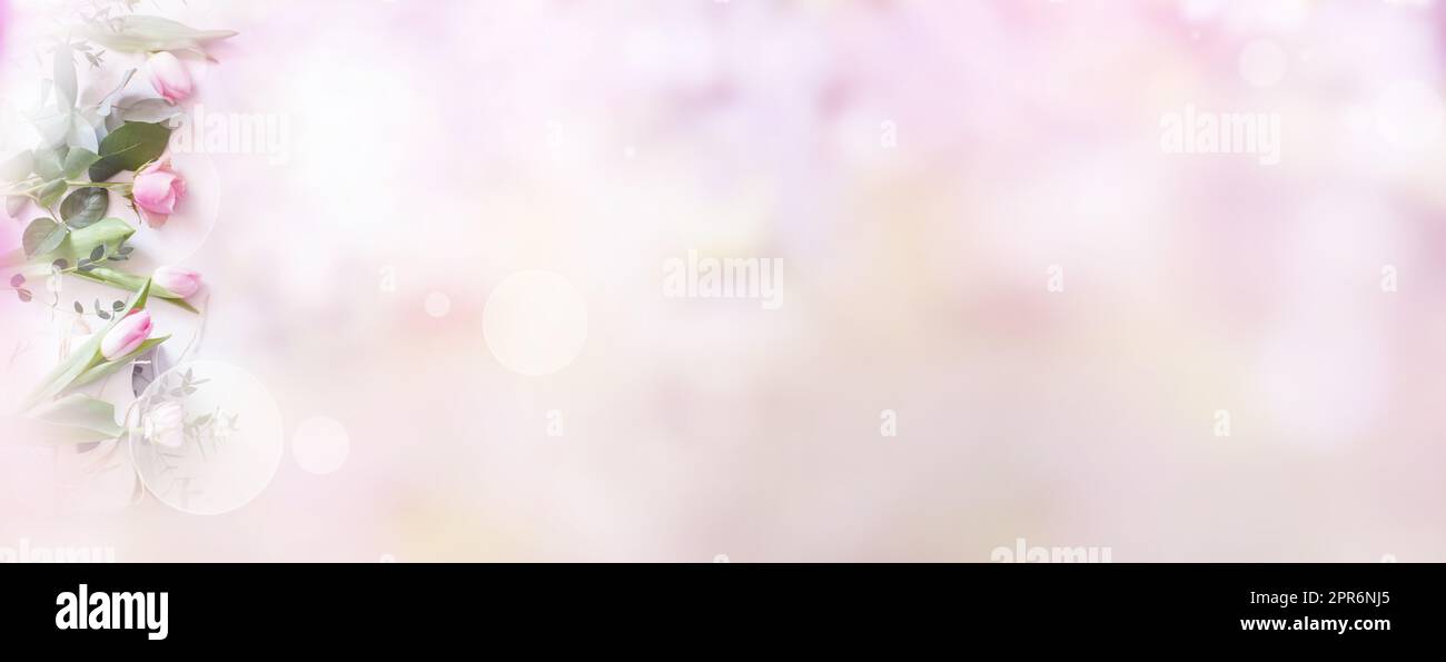 Hd Wedding Background Images