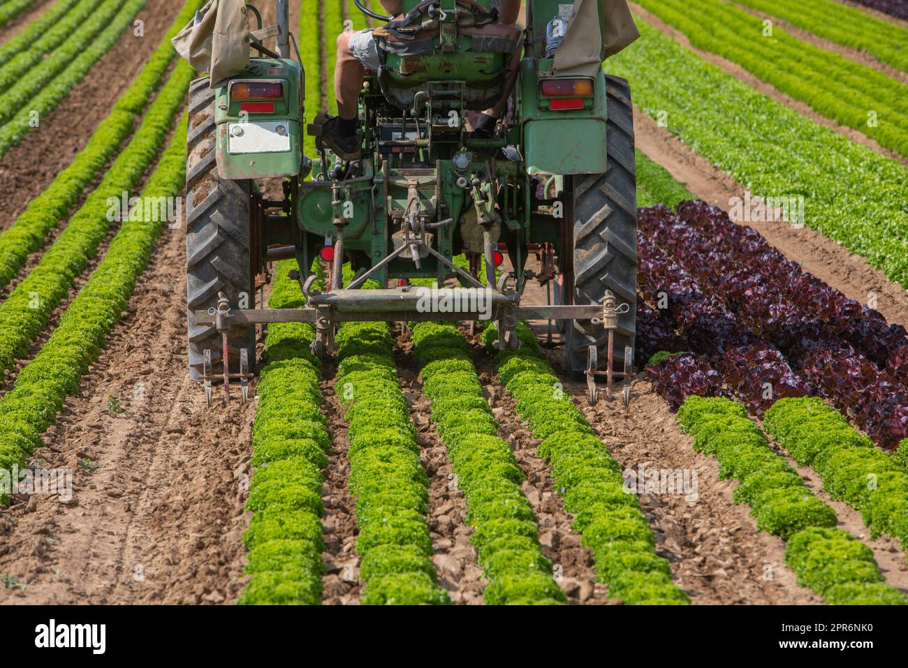 Basic tractor hi-res stock photography and images - Alamy