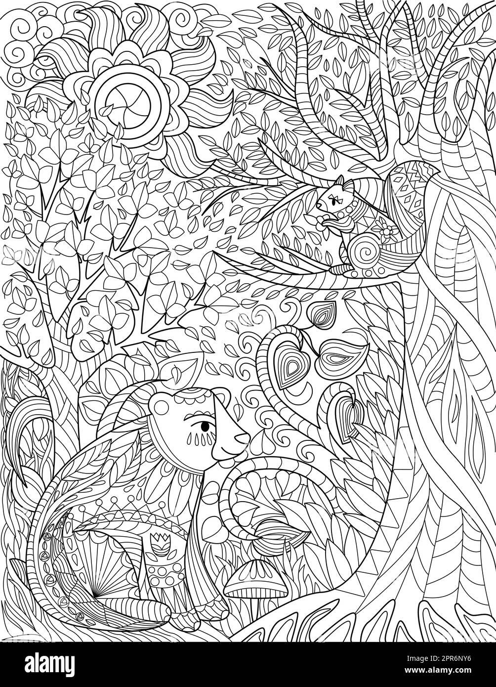 Squirrels Resting On A Wildlife Forest With Tall Trees Sun Up High ...