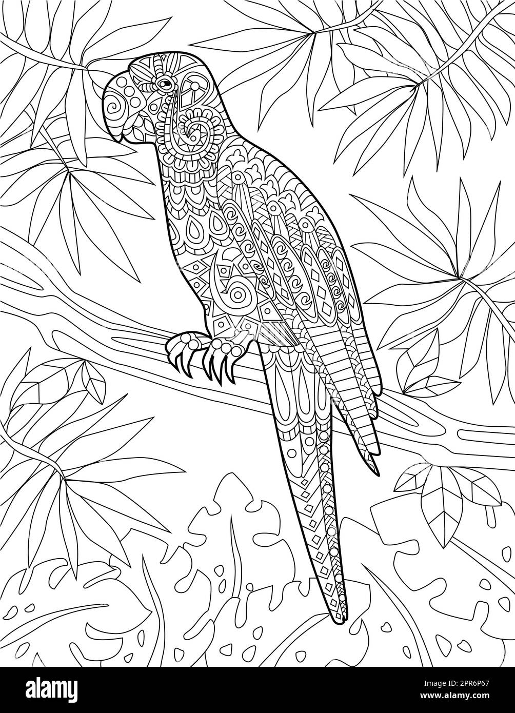 Parrot Resting On A Tree Branch On A Forest Colorless Line Drawing ...