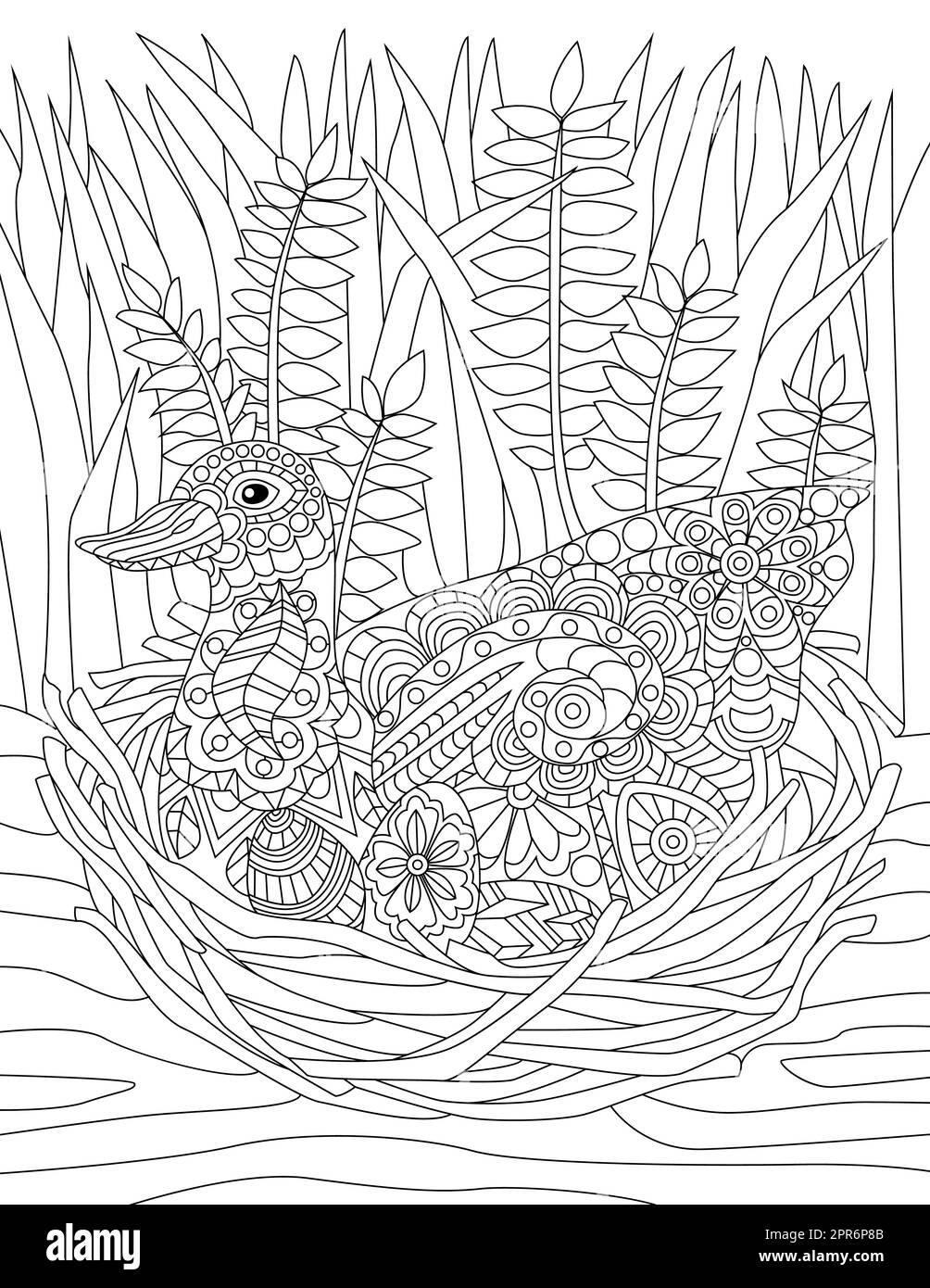 Duck Sitting On Nest With Tall Grass Background Colorless Line Drawing ...