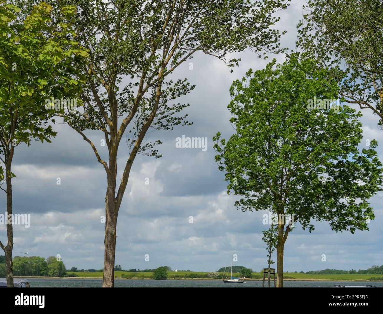the city of Schleswig at the river schlei Stock Photo - Alamy