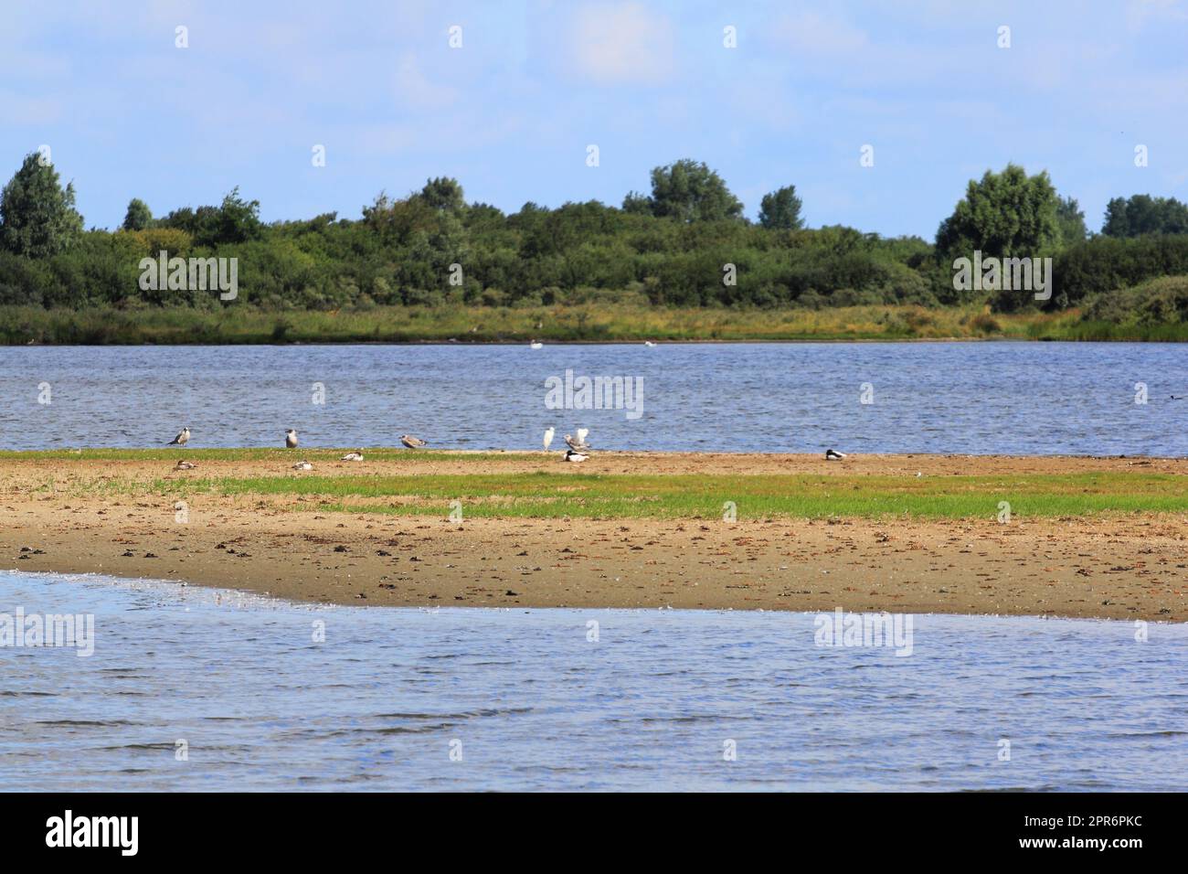 Flussufer River bank Stock Photo - Alamy