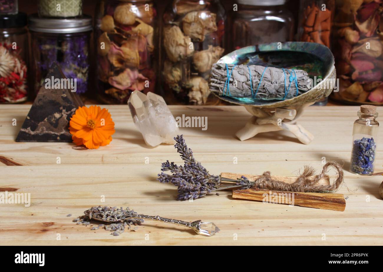 Dried Lavender With Palo Santo Wood and Abalone Shell For Smudging ...