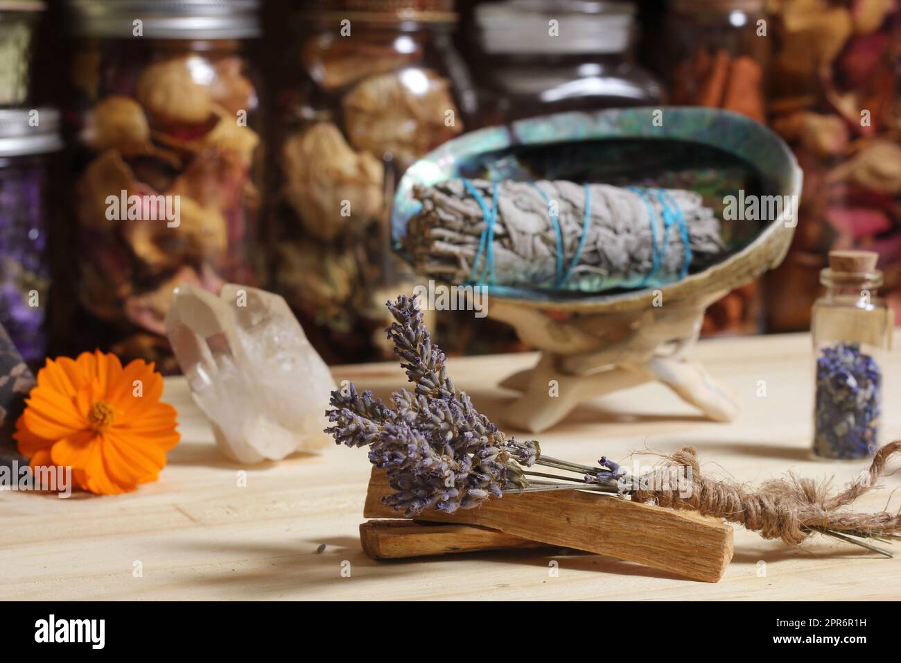 Dried Lavender With Palo Santo Wood and Abalone Shell For Smudging ...