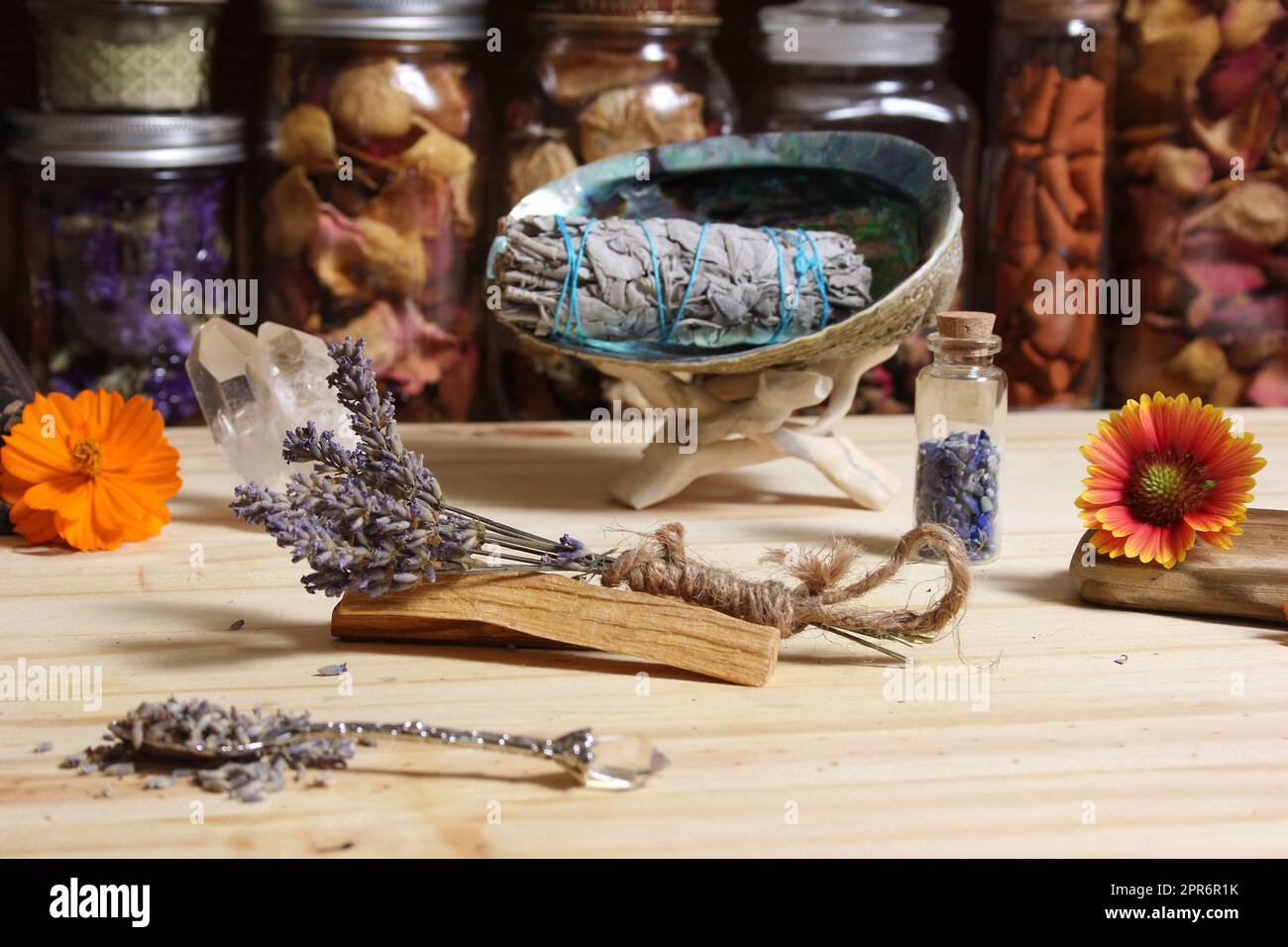 Dried Lavender With Palo Santo Wood and Abalone Shell For Smudging ...
