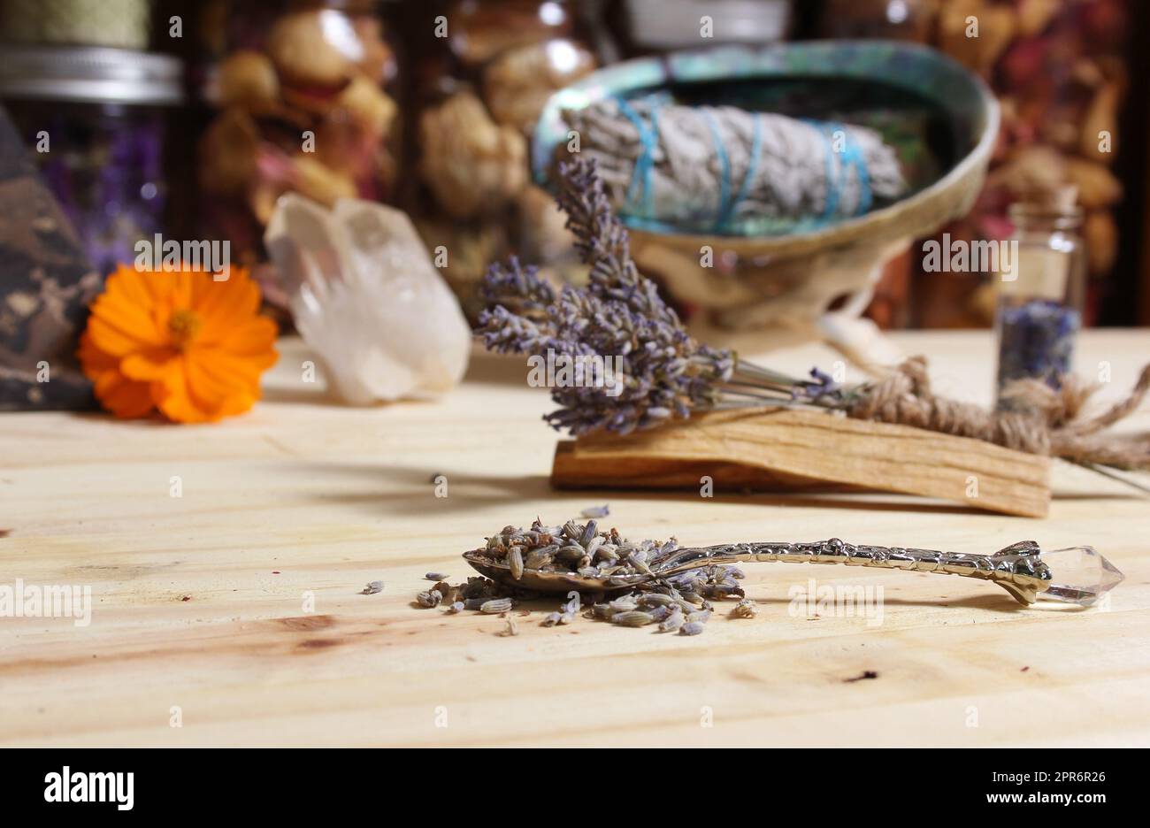 Dried Lavender With Palo Santo Wood and Abalone Shell For Smudging ...