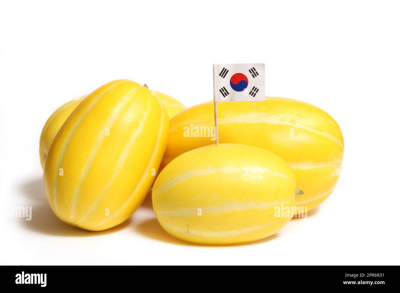 Summer Melon Harvest - Ginkaku Korean Melons - Cucumis melo var. makuwa ...