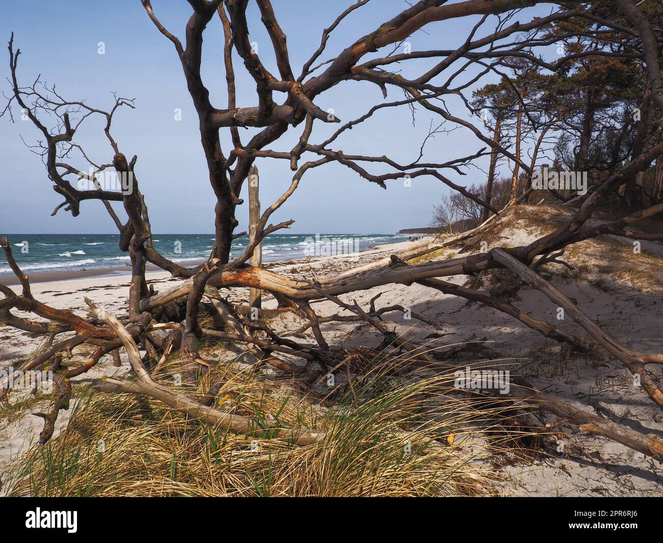 Dry coastal landscape hi-res stock photography and images - Alamy