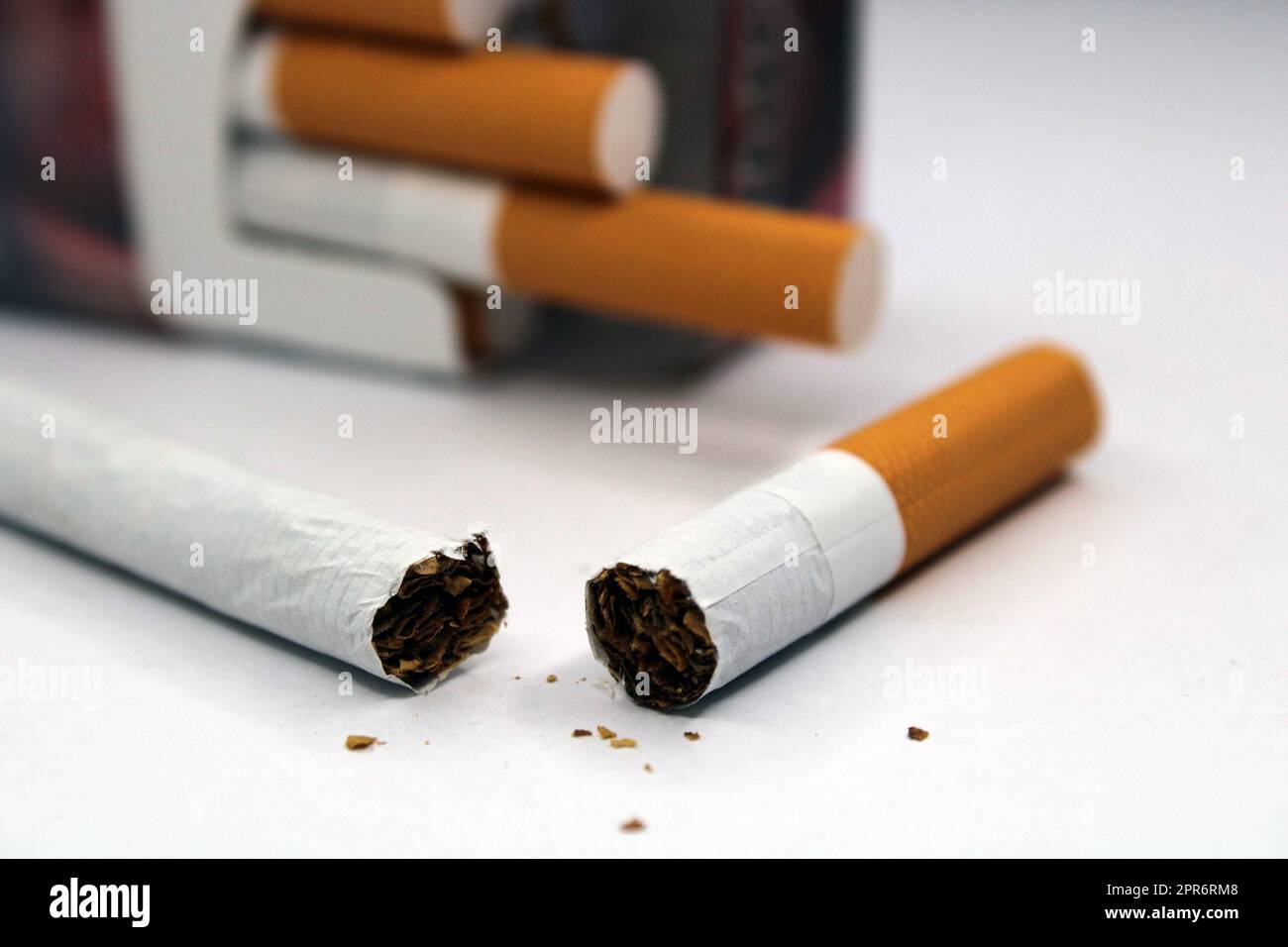 Broken cigarette close up. A pack of cigarettes is out of focus in the ...