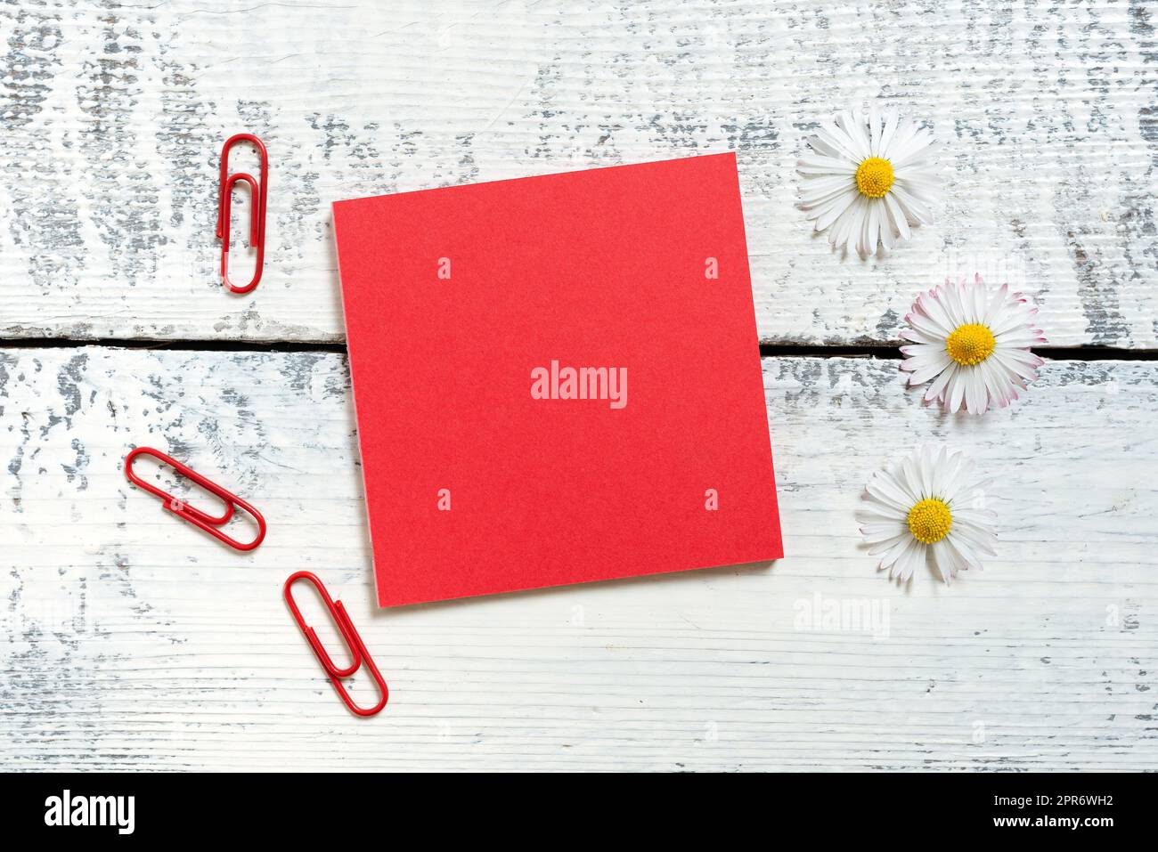 Sticky Note With Important Messages With Paperclips And Flowers Around ...