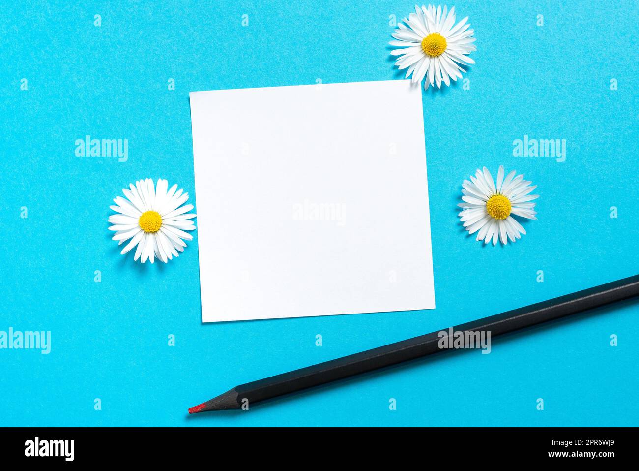 Sticky Note With Important Message With Pencil And Flowers Around. Memo ...