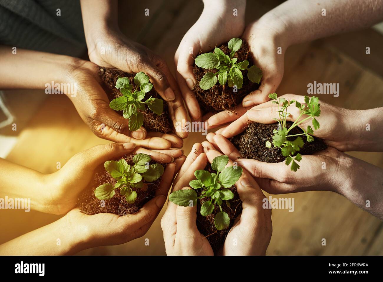 Growing environment of plants hi-res stock photography and images - Alamy