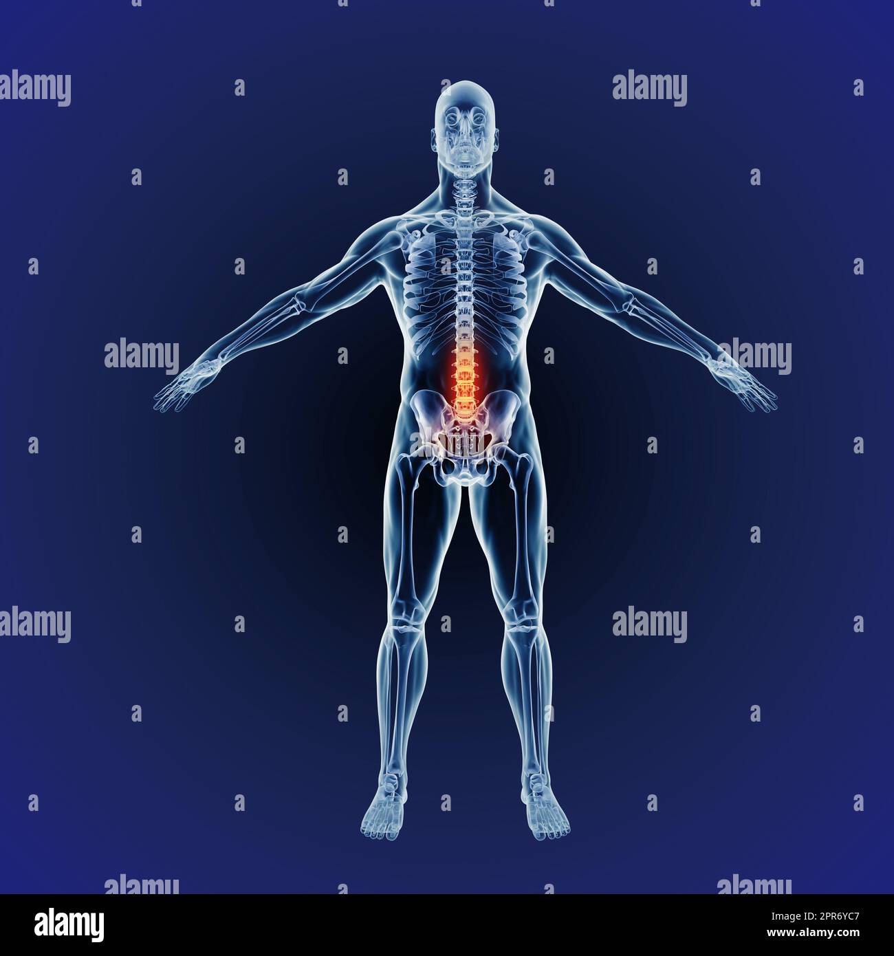 Human body pain anatomy hi-res stock photography and images - Alamy