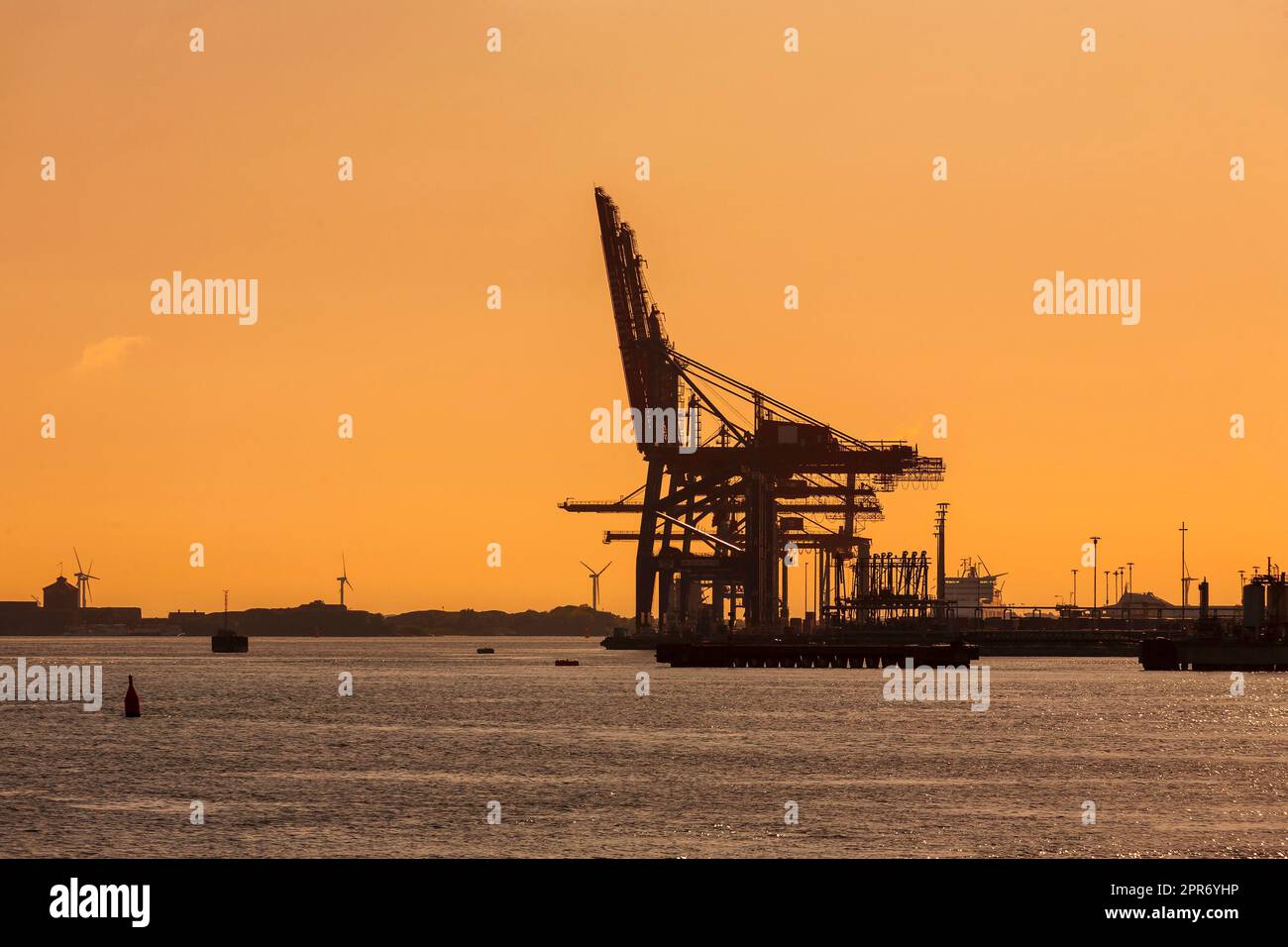 Container cranes in a harbor in the sunset Stock Photo - Alamy