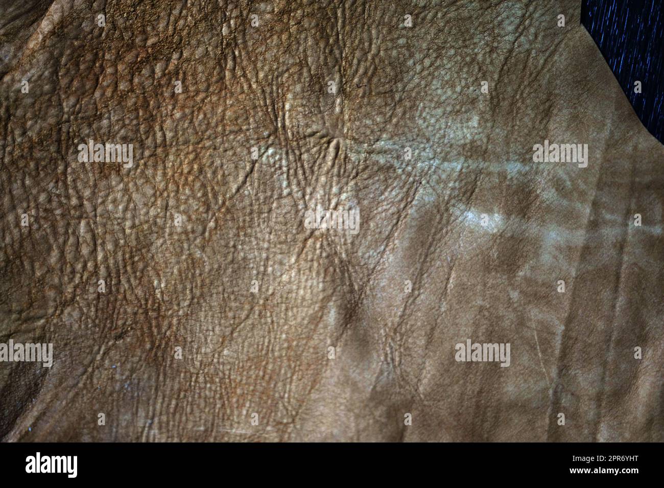 Genuine leather texture background Stock Photo - Alamy