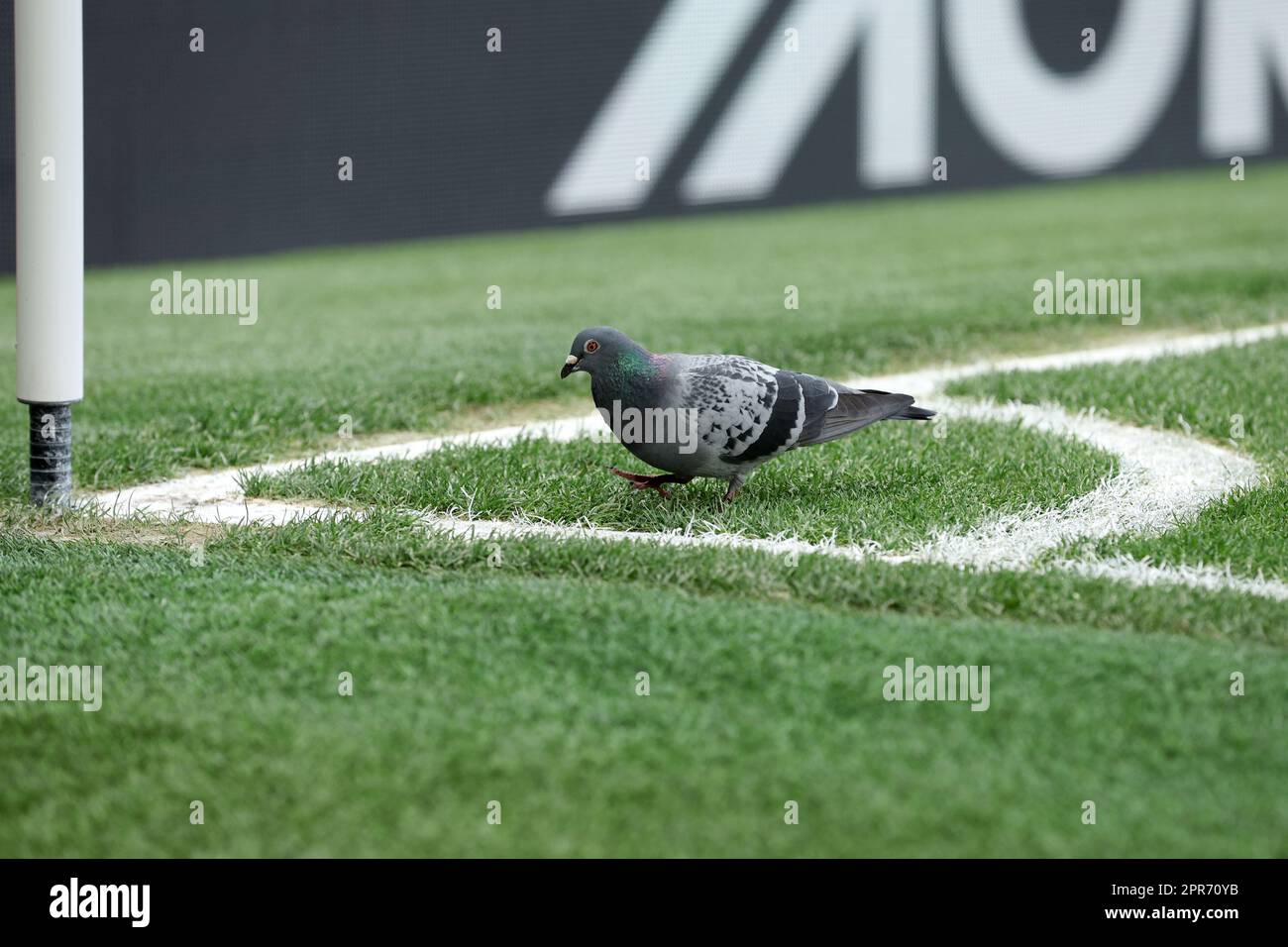 26th April 2023; Stamford Bridge, Chelsea, London, England: Premier ...