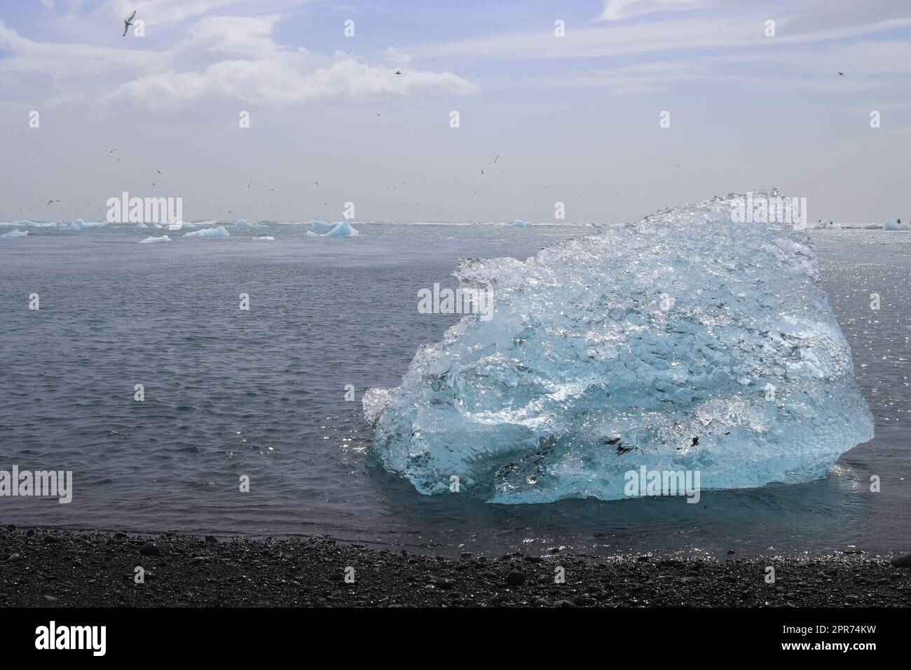 Diamond Beach in Iceland with blue icebergs melting on black sand and ...