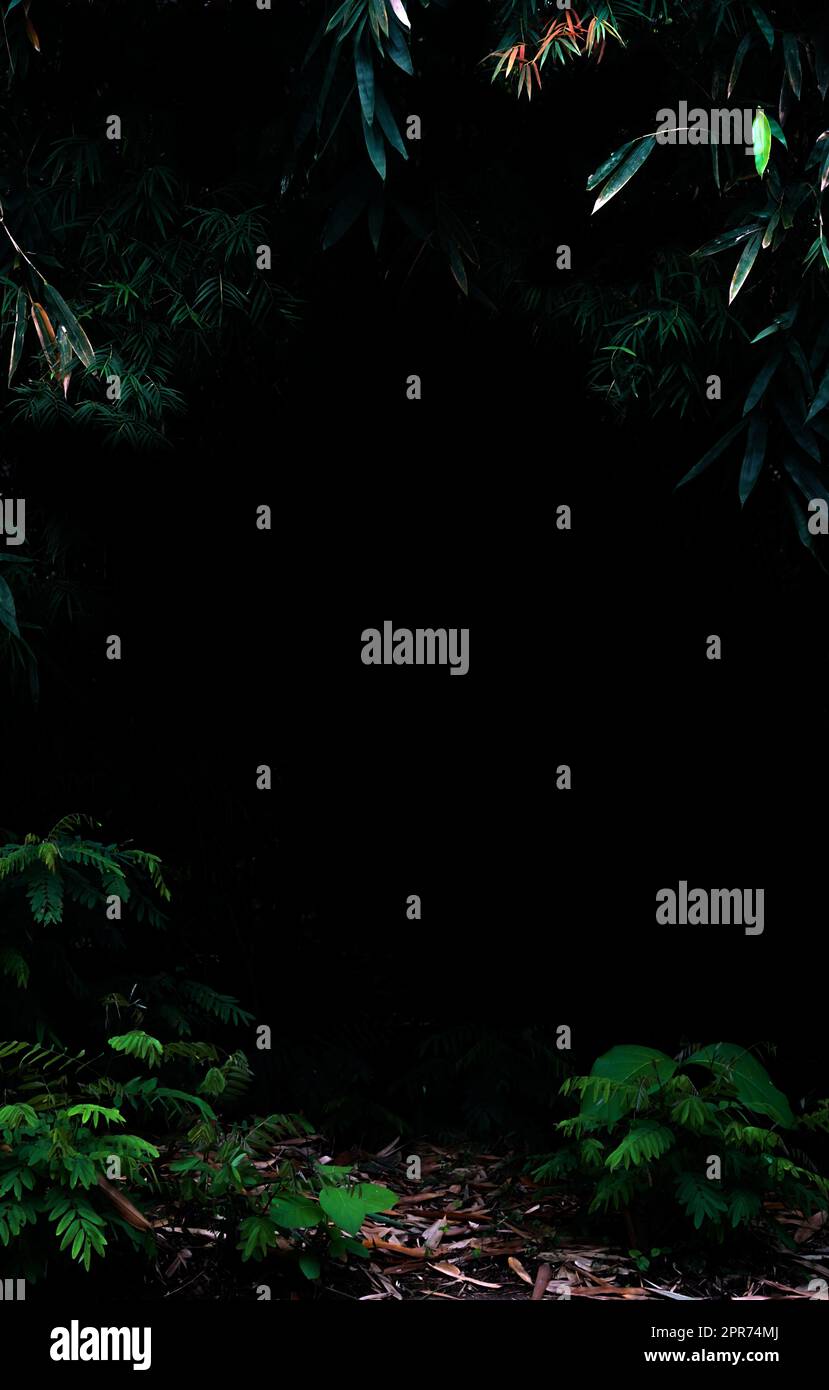 Dark plants hi-res stock photography and images - Alamy