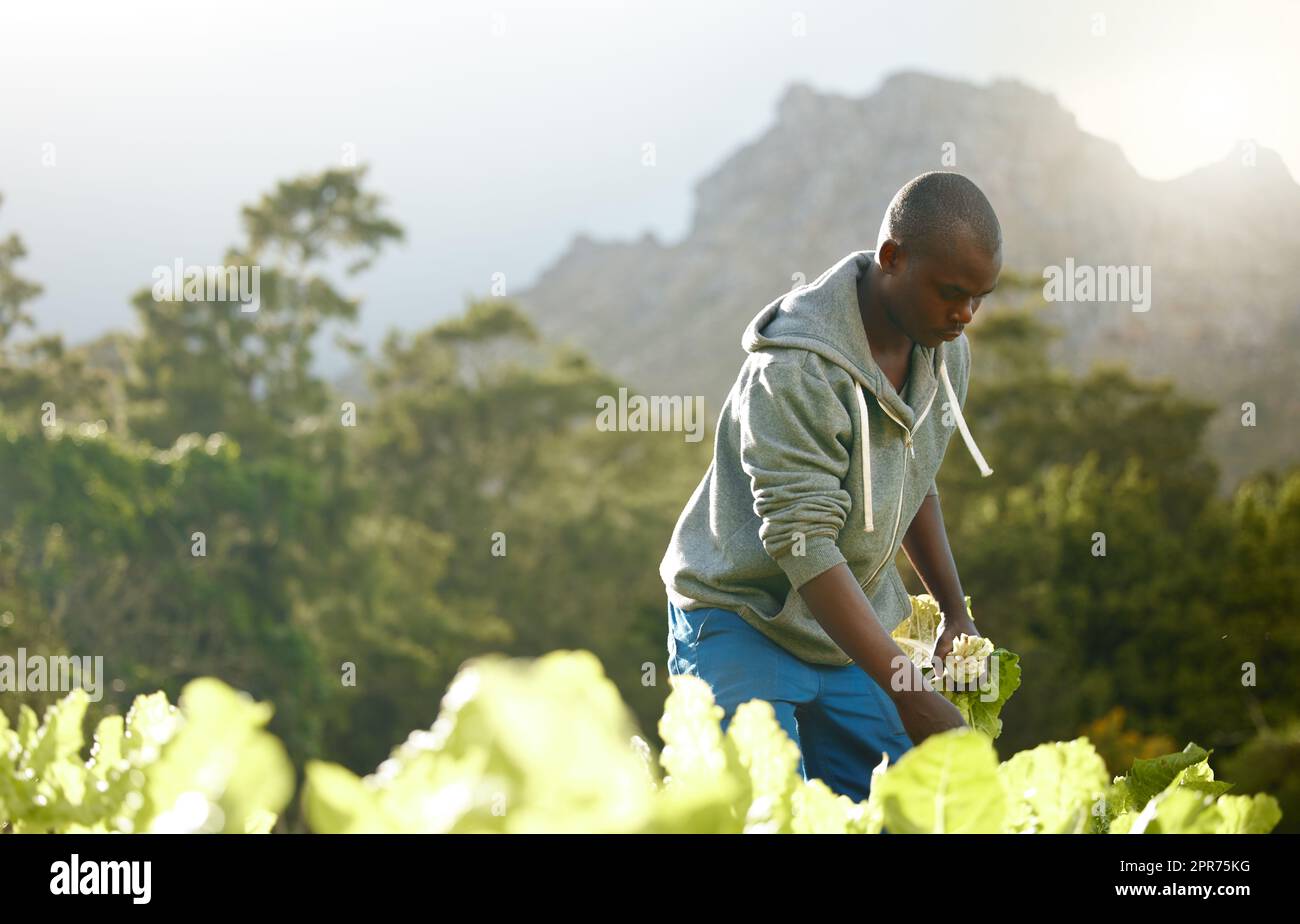 African farm worker hi-res stock photography and images - Alamy